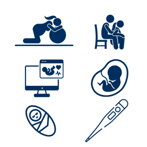 Birth Icons | The Queer Parenting Partnership